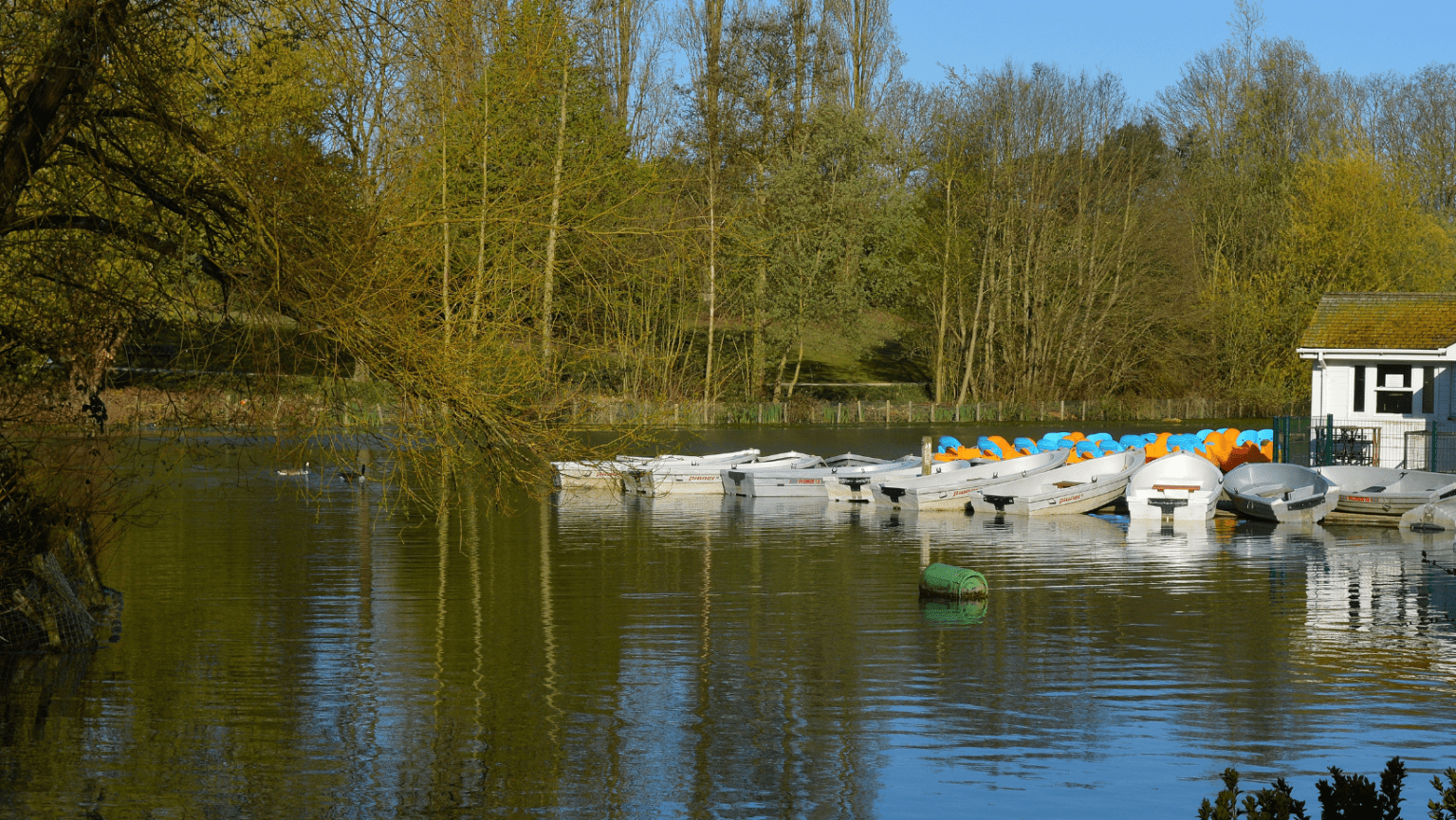 20+ Epic Fishing Lakes in Hertfordshire – The Glampacking Lawyer